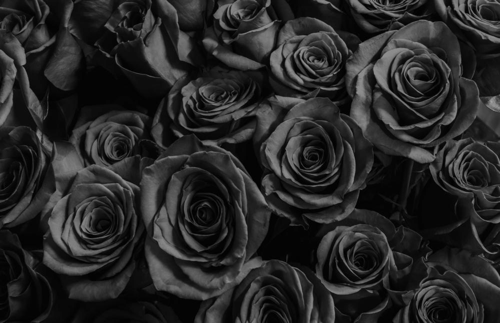 What Your Favorite Color Black Reveals About Your Personality